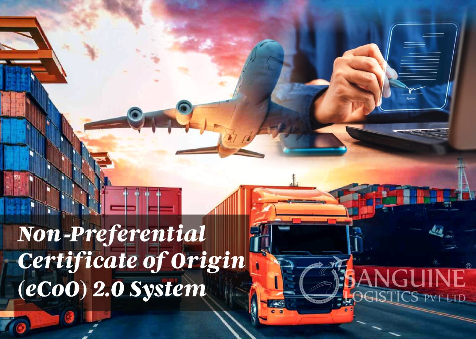 Non-Preferential Certificate of Origin (eCoO) 2.0 System – Sanguine ...